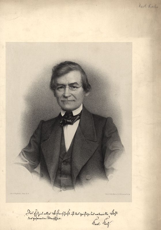 Lithographie, Porträt, Karl Koch